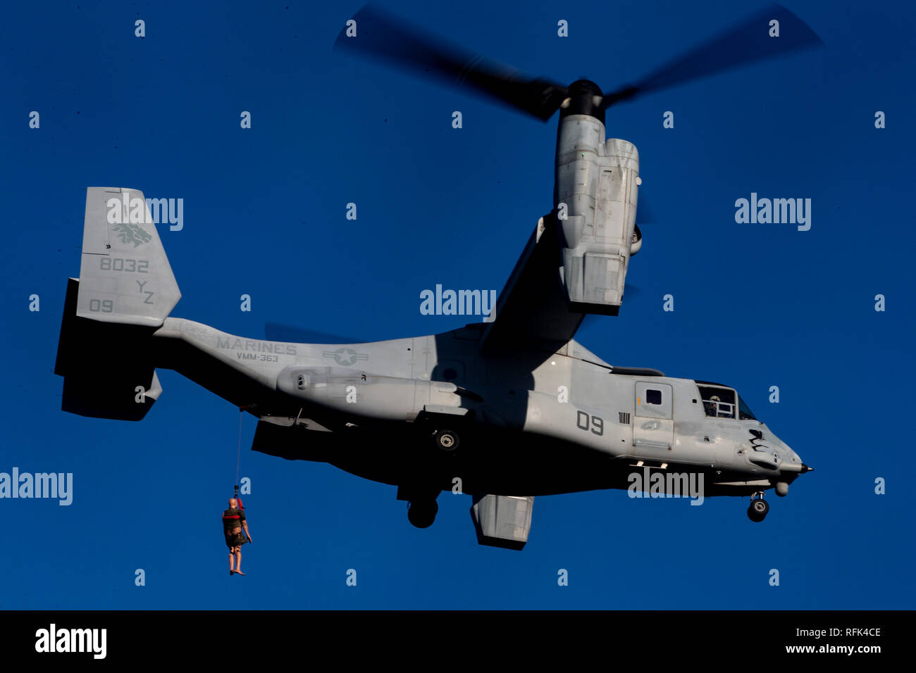 Lz westfield hi-res stock photography and images - Alamy