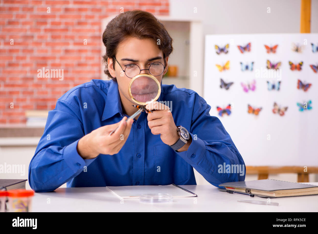 Student entomologist studying new species of butterflies Stock Photo ...