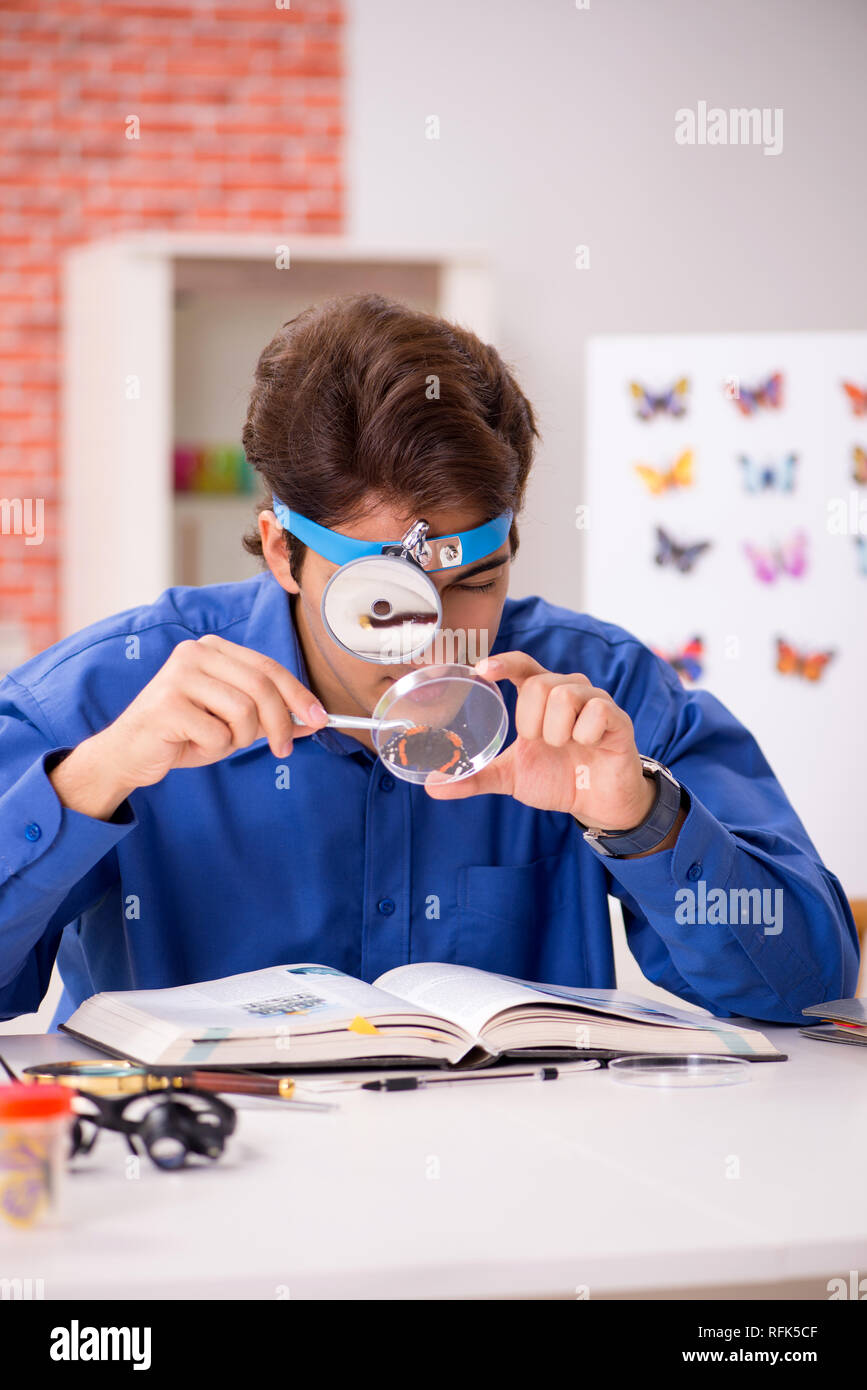 Student entomologist studying new species of butterflies Stock Photo ...