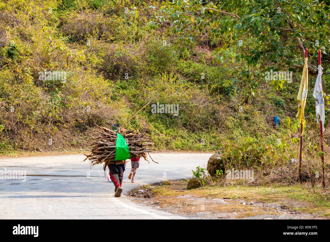 Young man carrying firewood hi-res stock photography and images - Alamy