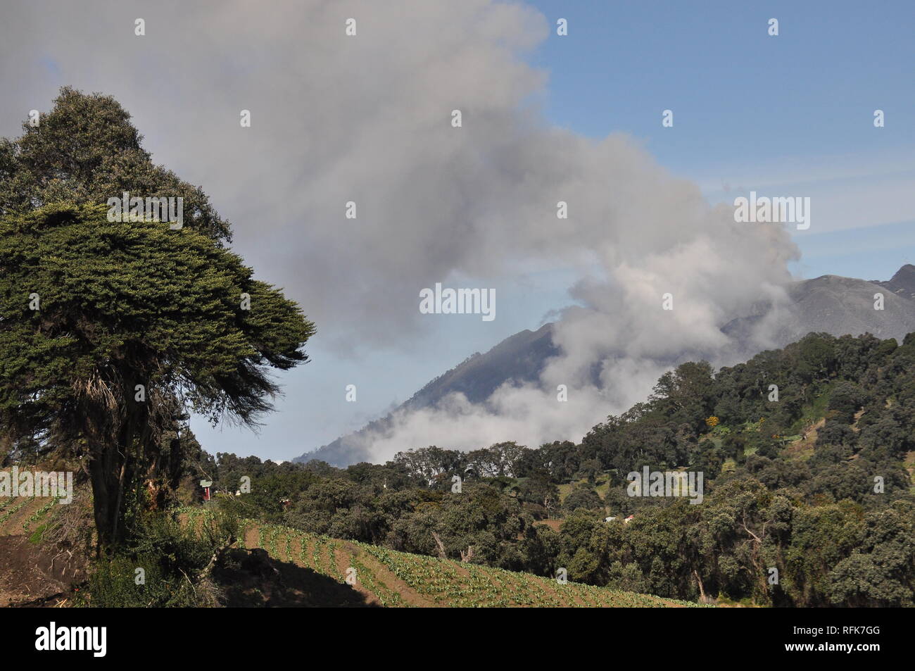 Eruption of Turrialba volcano in Costa Rica seen from the slope of ...