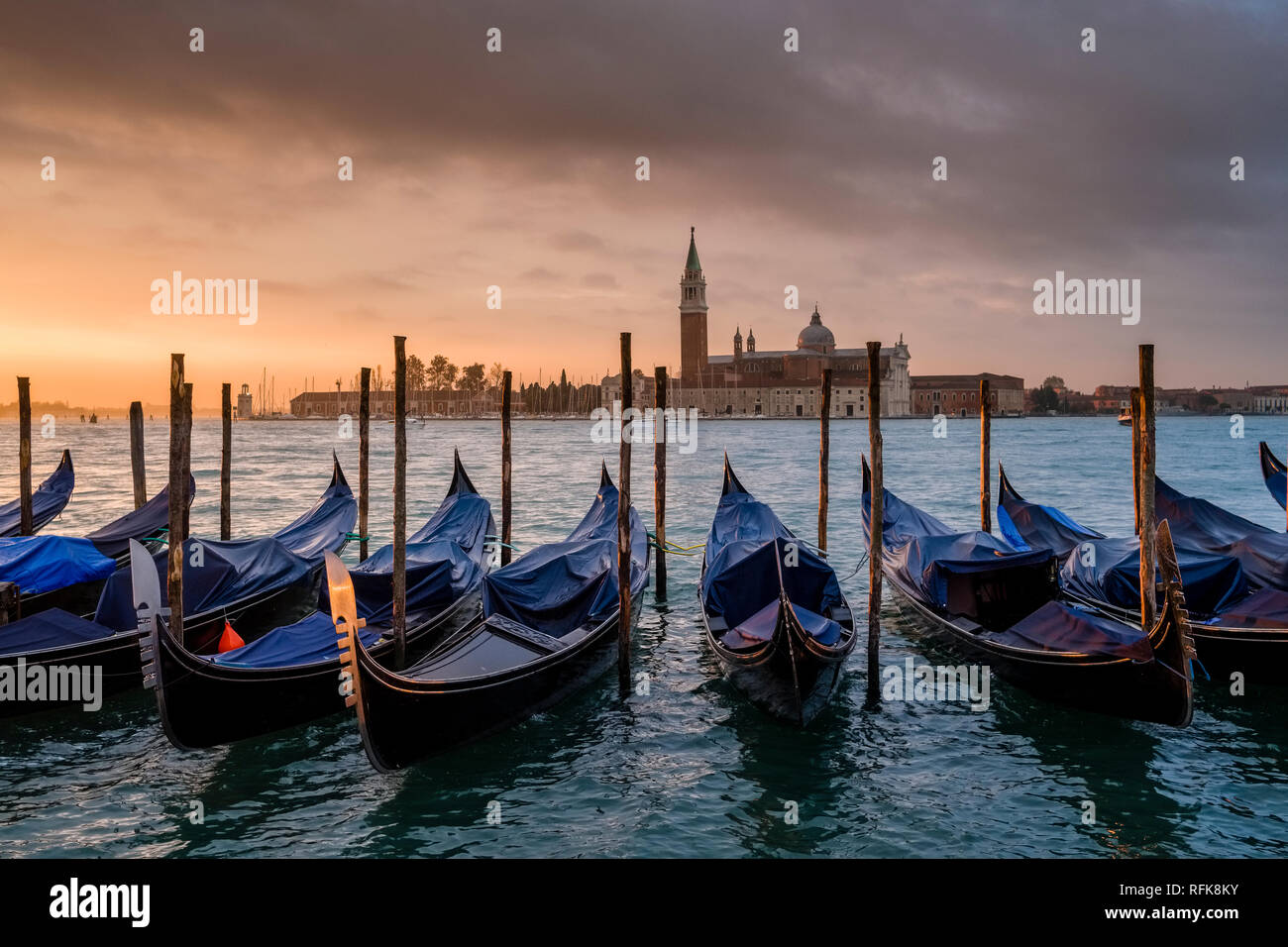 Many Gondolas, the traditional venetian rowing boats, are tied up at ...