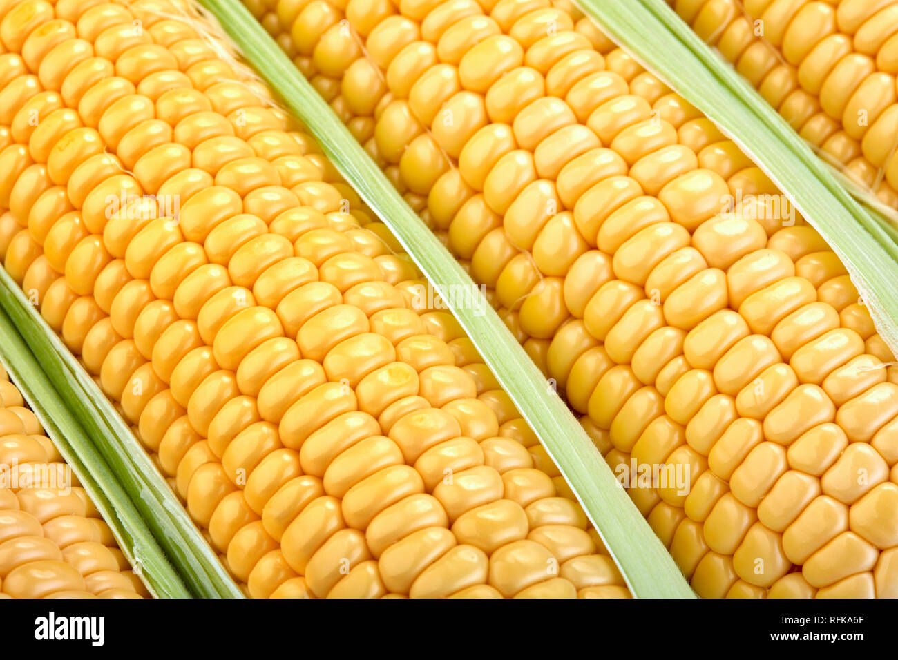close-up view of fresh corn cobs Stock Photo - Alamy