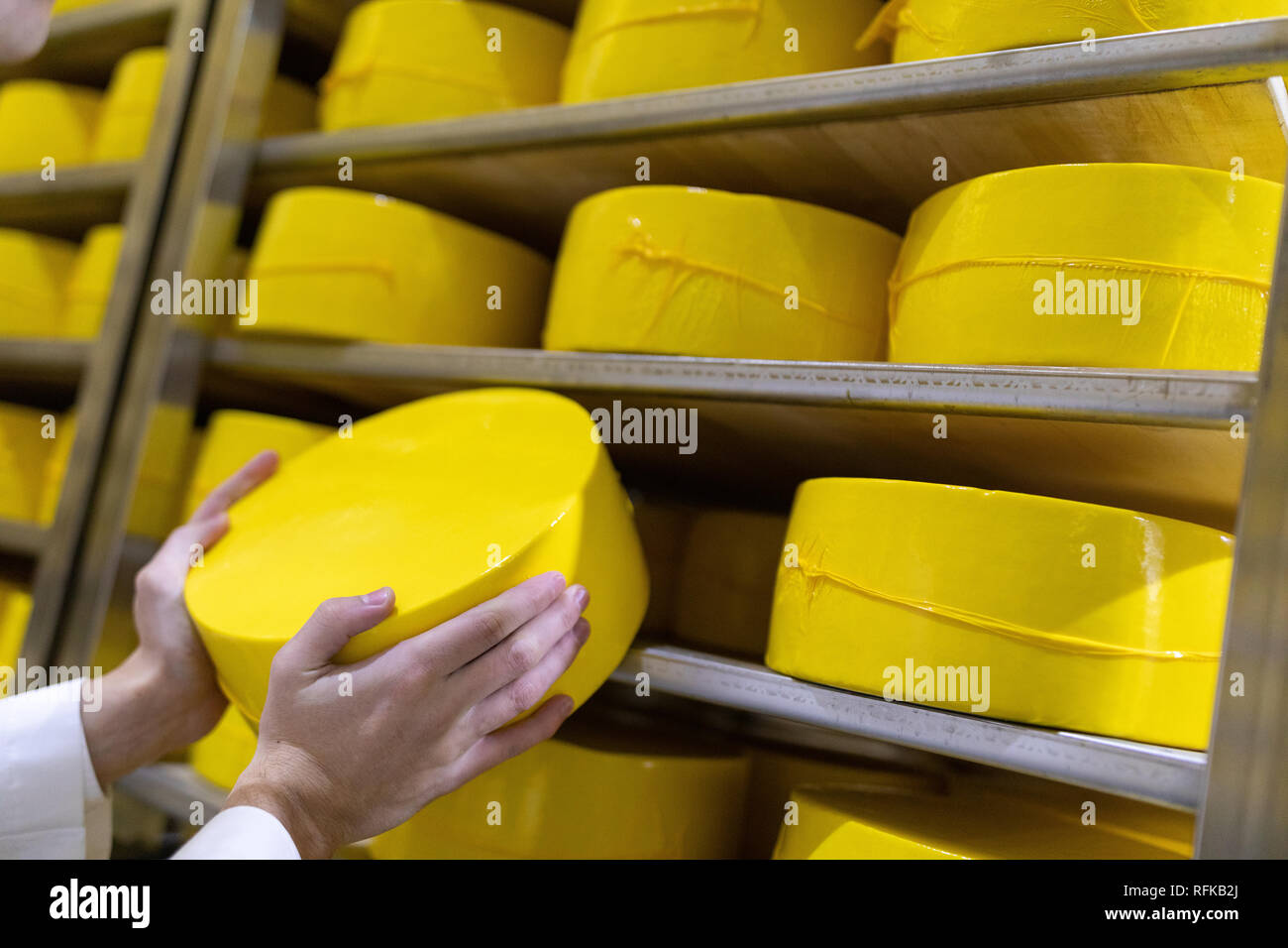 Inspecting stock in warehouse hi-res stock photography and images - Alamy