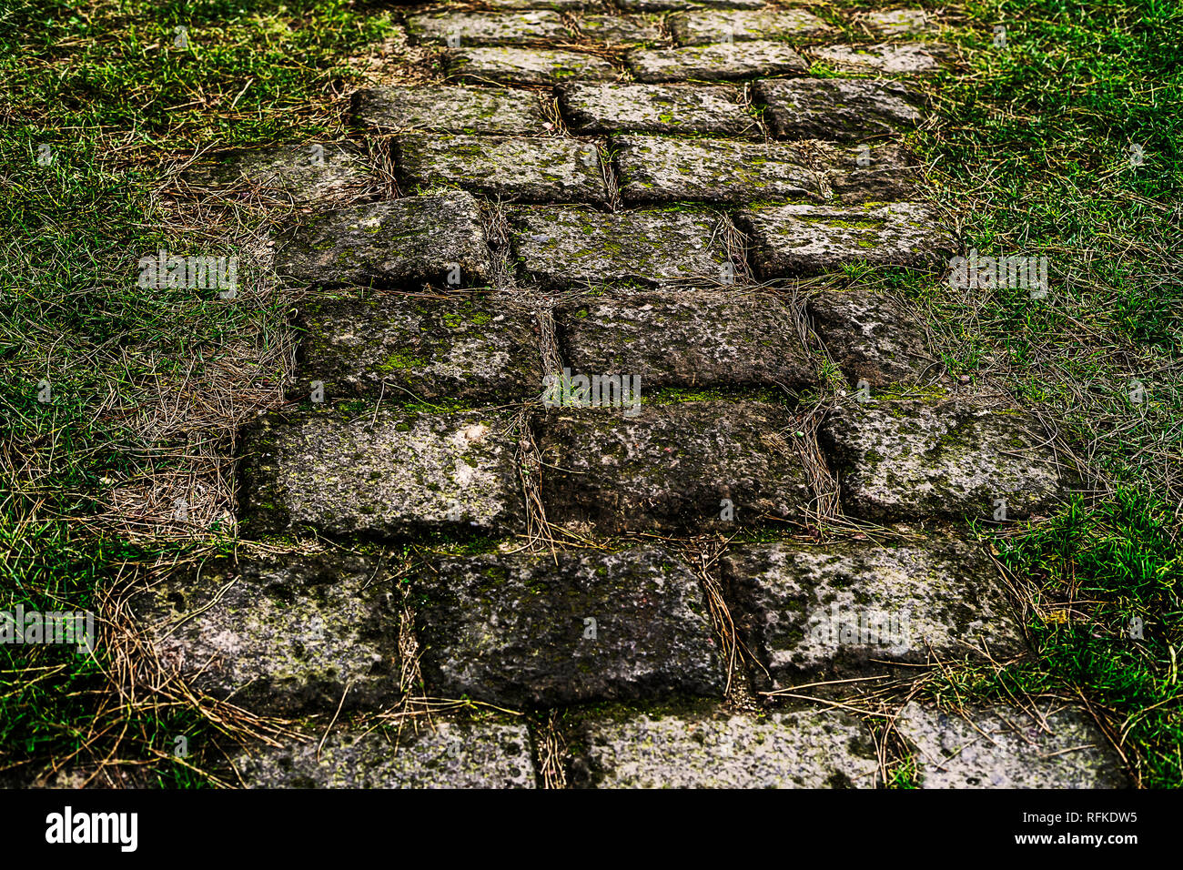 Path laid with bricks leading somewhere Stock Photo - Alamy