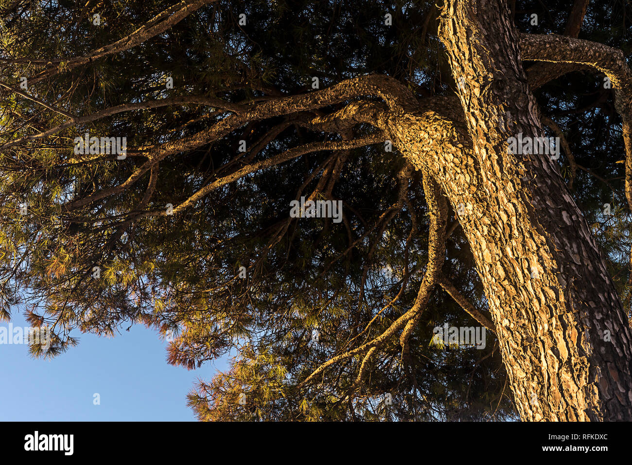 From under perspective hi-res stock photography and images - Alamy