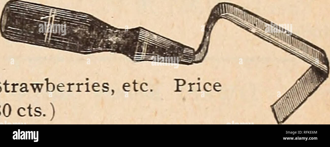 Staking beans hi-res stock photography and images - Alamy