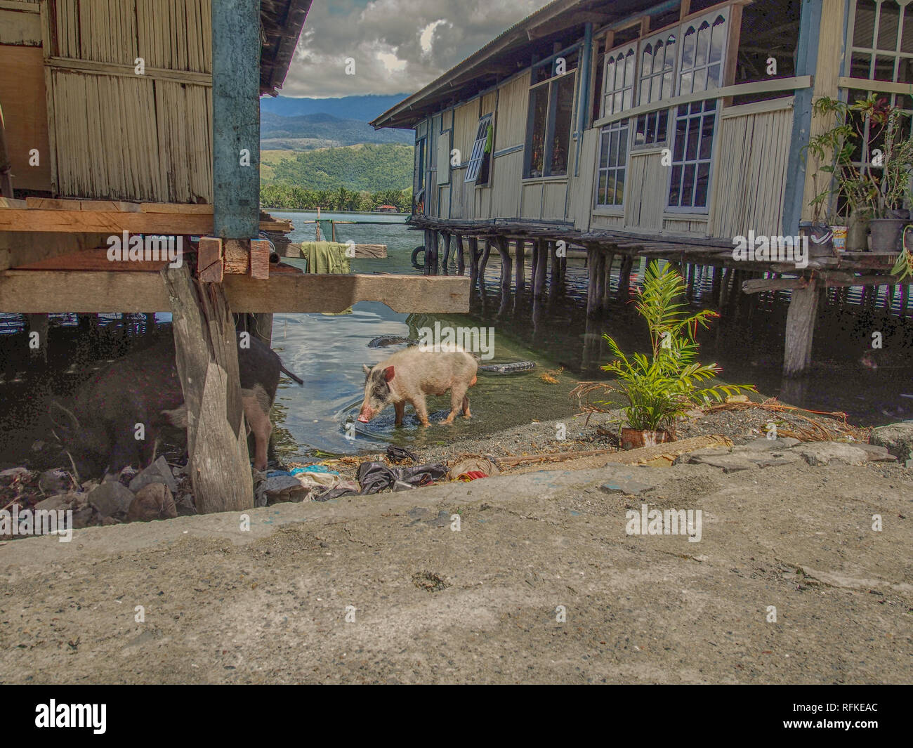 Jayapura, Indonesia - January 24, 2015: Stilt houses in Kampung Ayapo ...