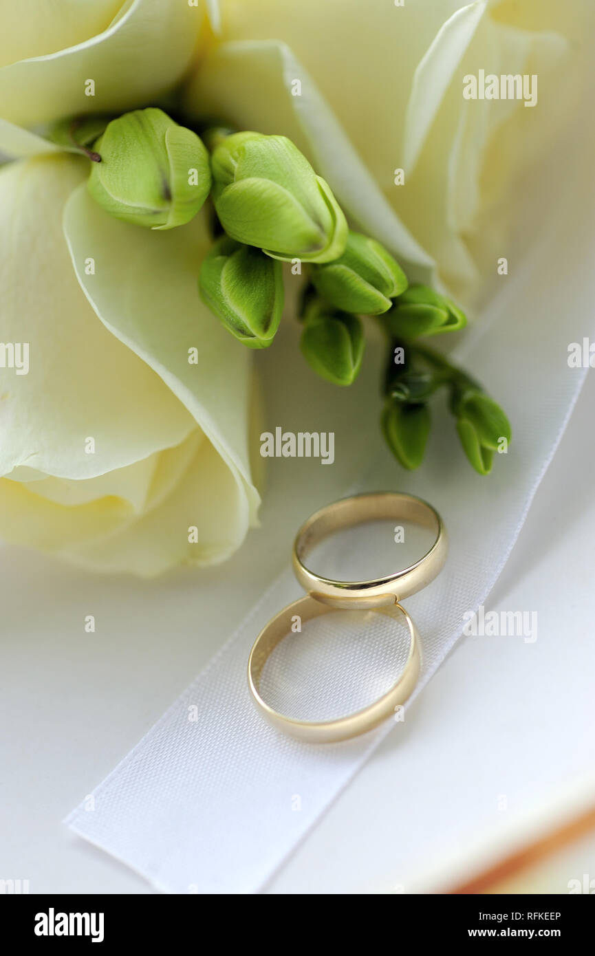 wedding rings, couple, two, bridges, wedding, relations,bridal, bride ...