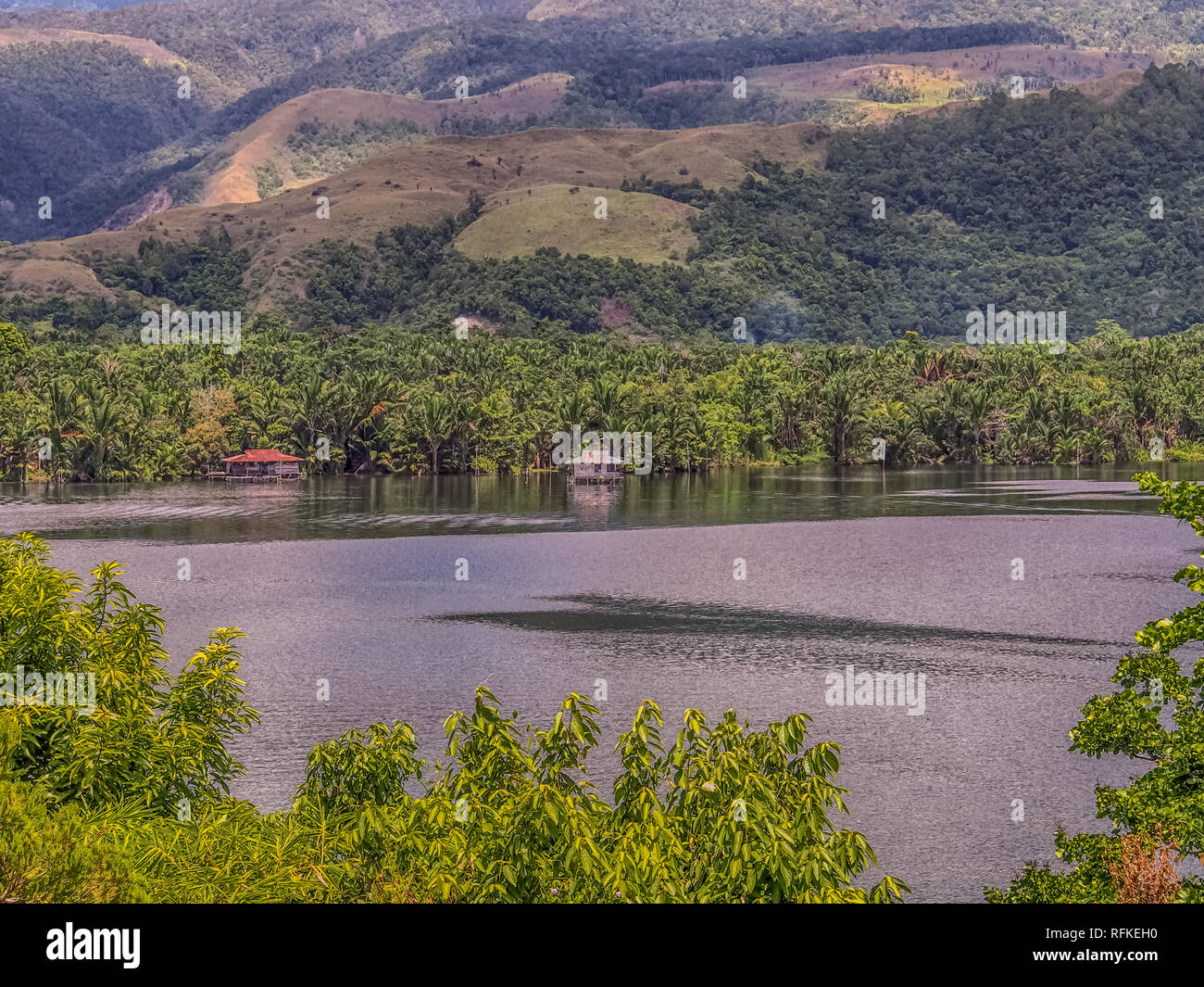 Jayapura, Indonesia - January 24, 2015: Stilt houses in Kampung Ayapo ...
