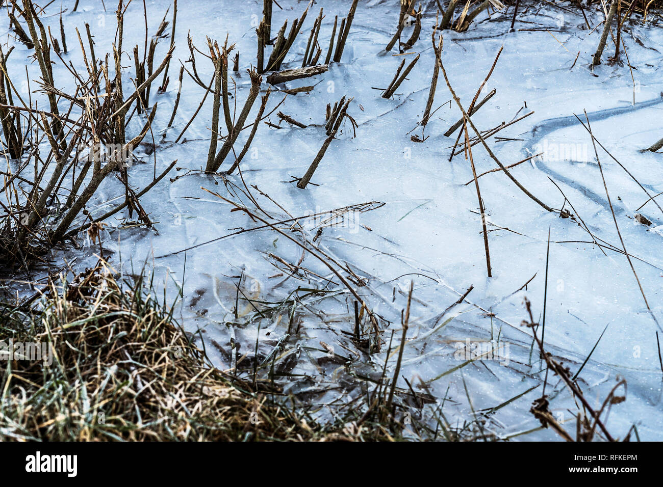 Small water stream is completely frozen Stock Photo - Alamy