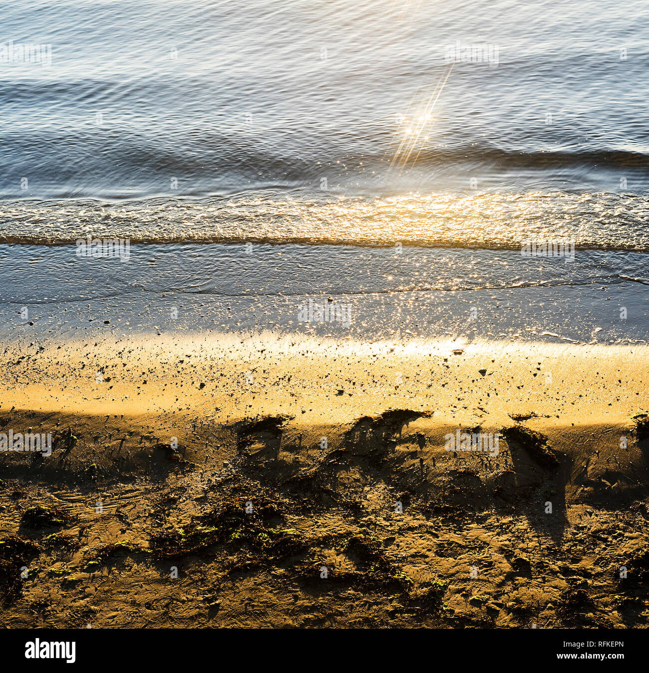 Small sandy beach with seaweed Stock Photo - Alamy