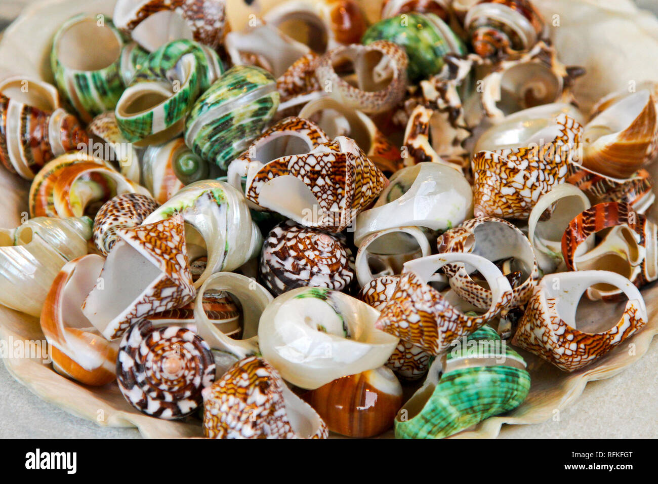 Made from shells hi-res stock photography and images - Alamy