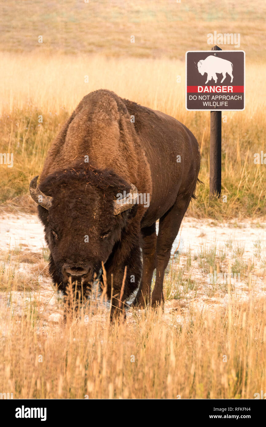 Warning sign yellowstone national park hi-res stock photography and ...