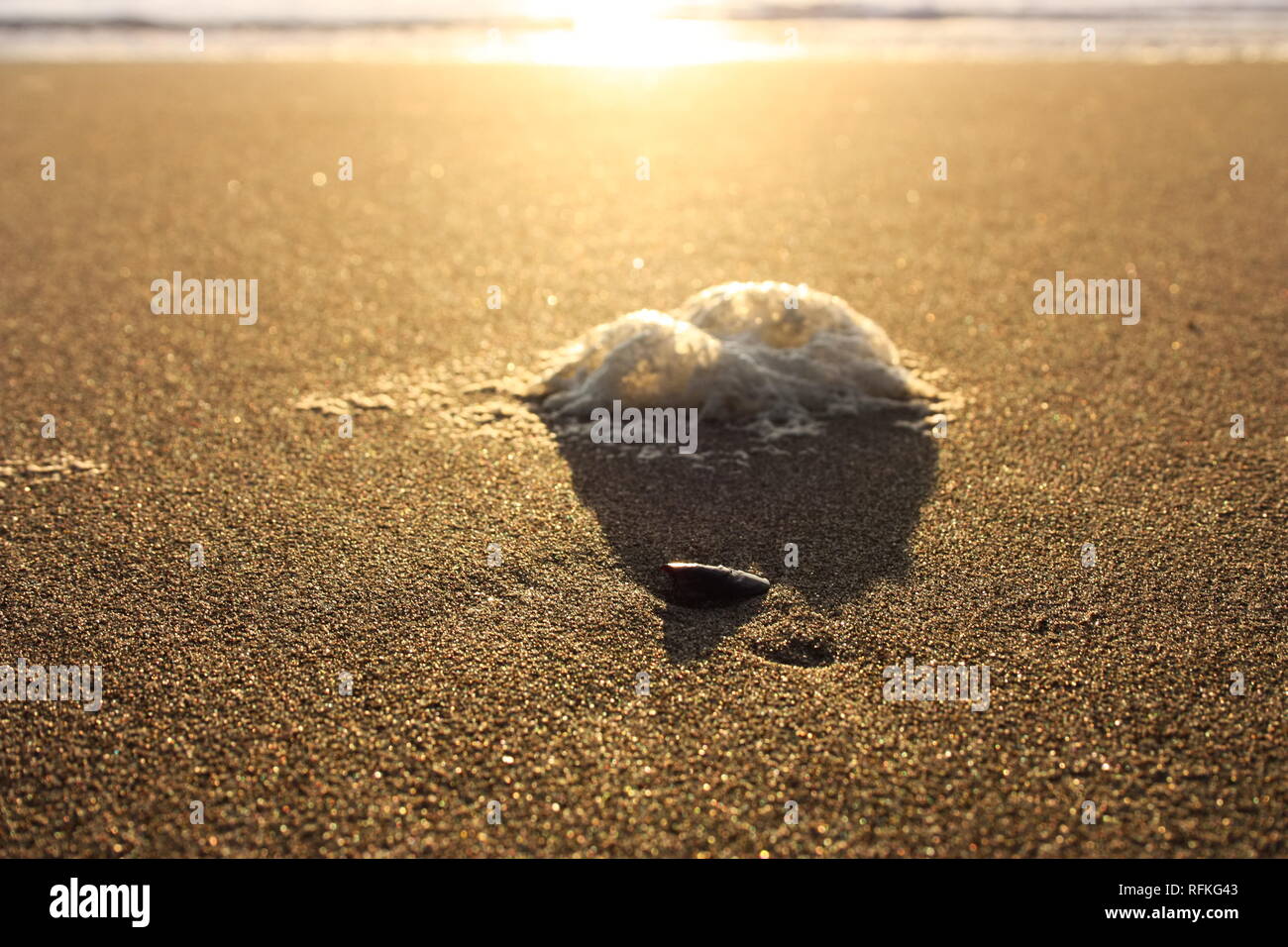 abnormal foam on the beach. pollution of the sea, poisonous discharges ...