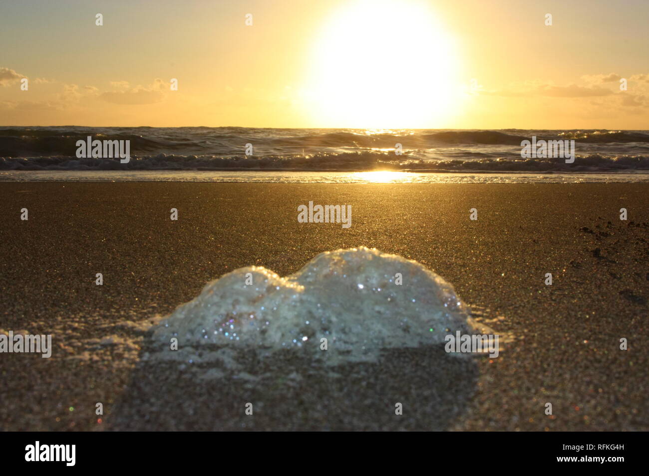 abnormal foam on the beach. pollution of the sea, poisonous discharges ...
