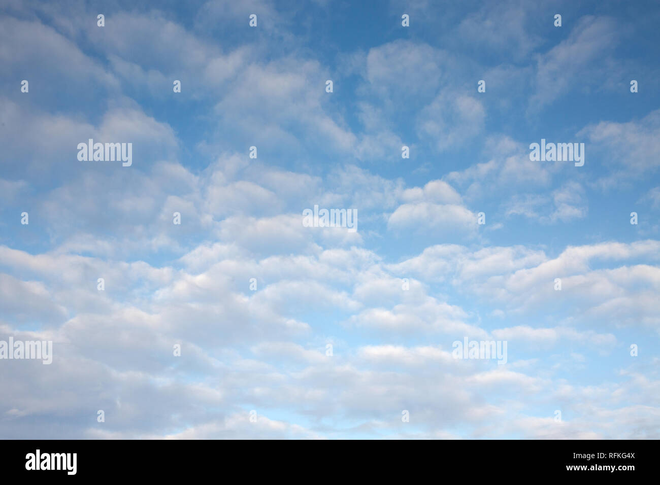 A full frame background image of high altitude cirrocumulus ...