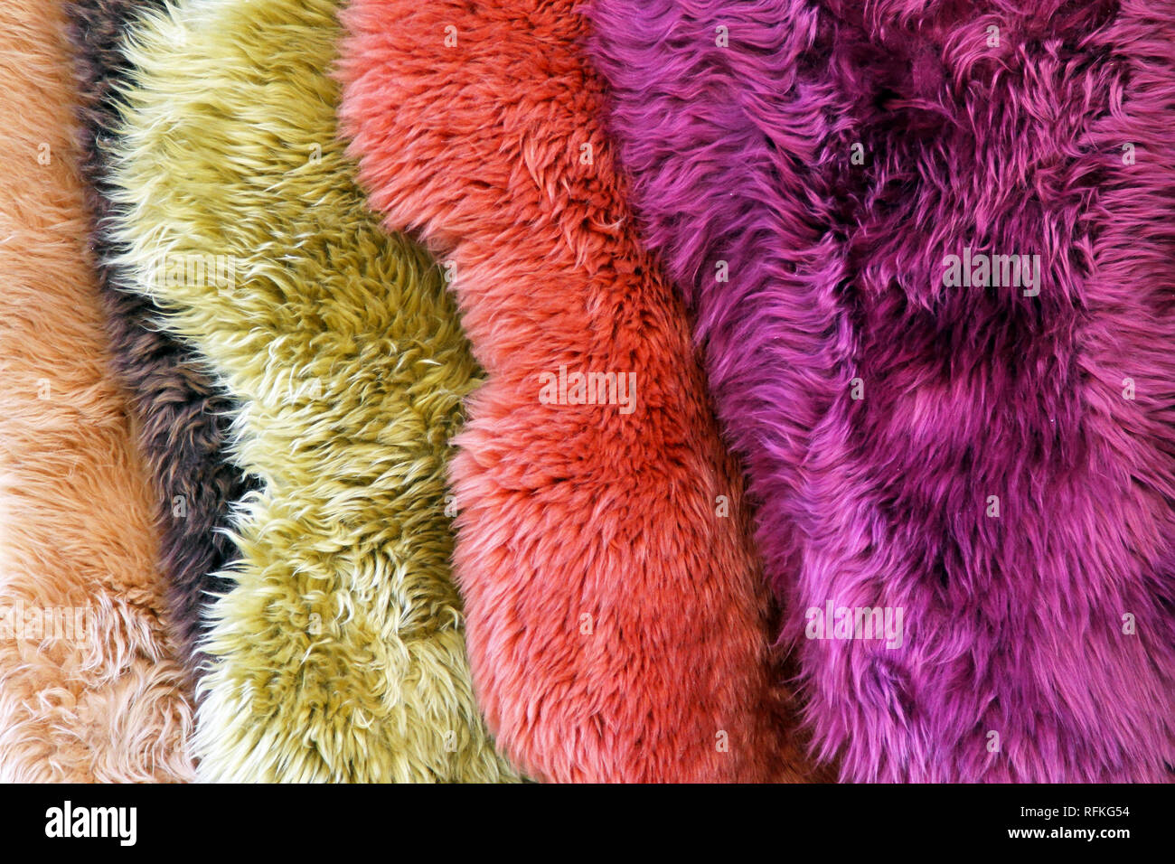 Sample of a big animal hi-res stock photography and images - Alamy