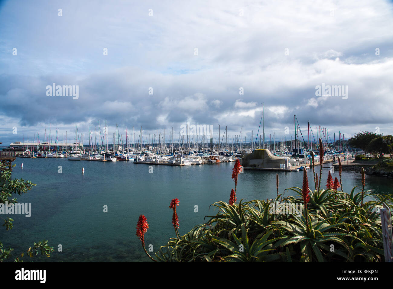 Sailing vessels and boats in the Monterey Harbor. The boats and sailing ...
