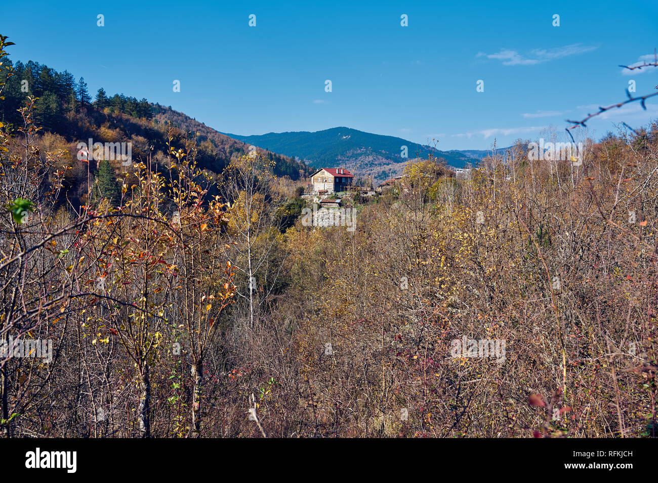 Autumn landscape and yellow leaves. Traditional houses in Ilica village ...