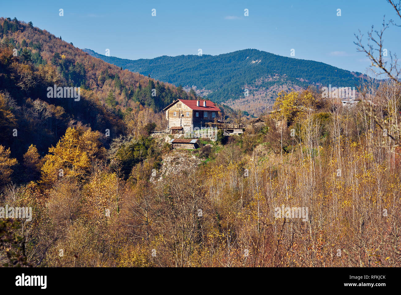 Autumn landscape and yellow leaves. Traditional houses in Ilica village ...