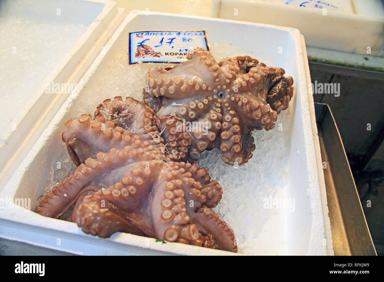 Octopus in Meat Market in Downtown Athens, Greece Stock Photo - Alamy