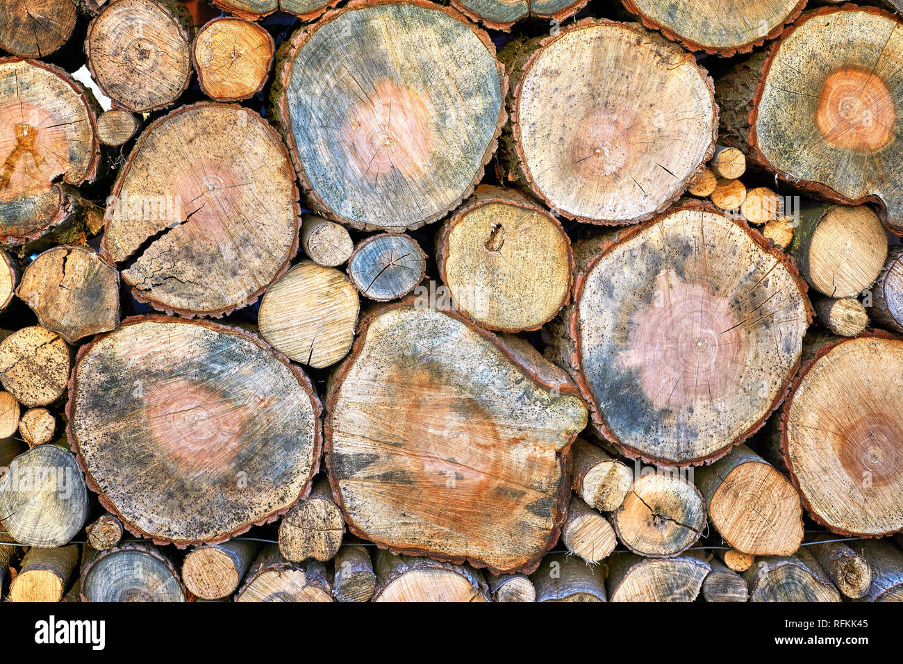 Natural tree trunk Decor background Stock Photo - Alamy