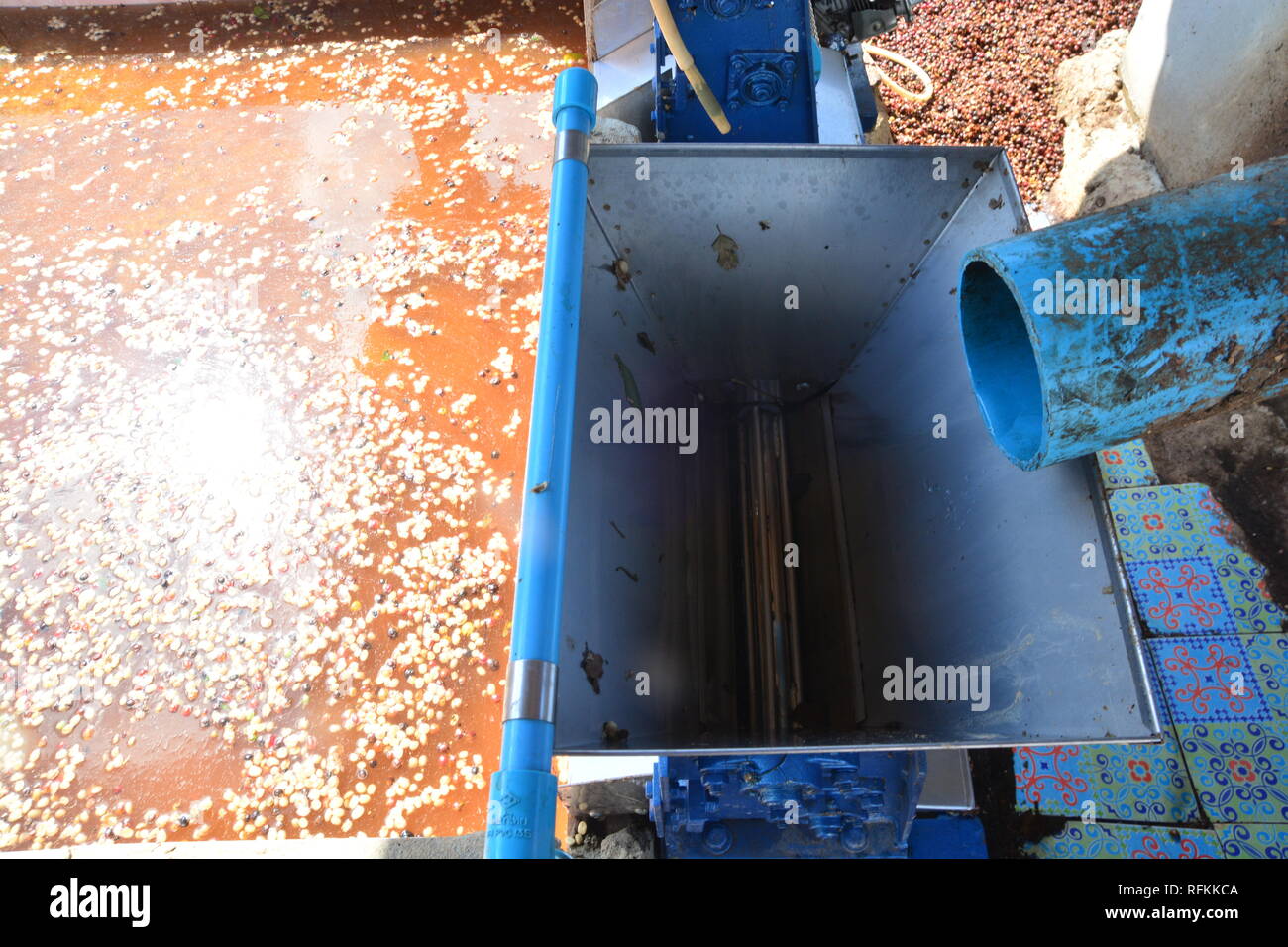 Coffee pulping hi-res stock photography and images - Alamy