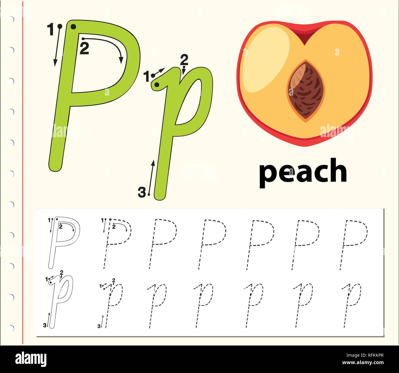Letter P tracing alphabet worksheets illustration Stock Vector Image ...