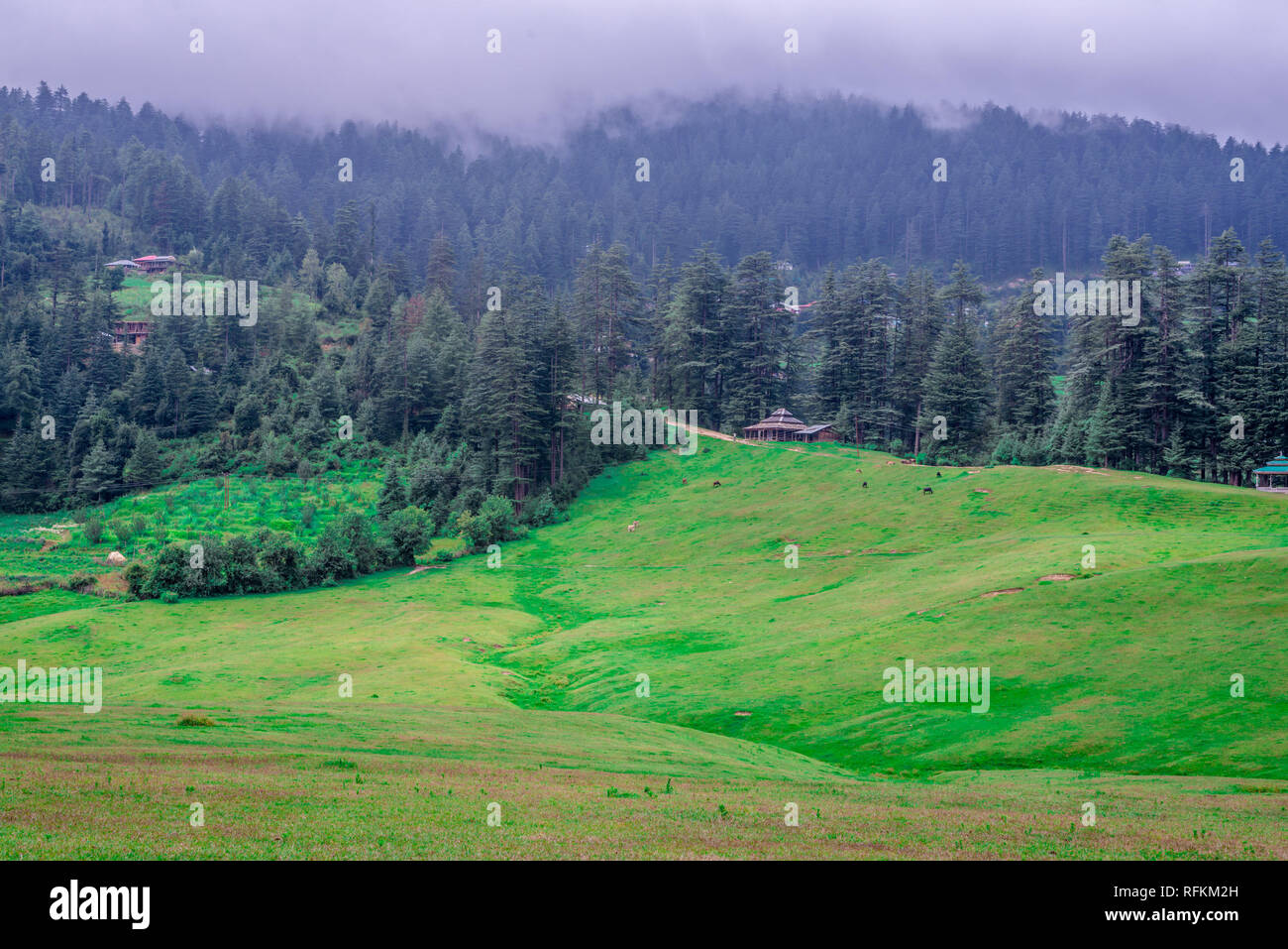 Panoramic view of green meadows in himalayas, Great Himalayan National ...