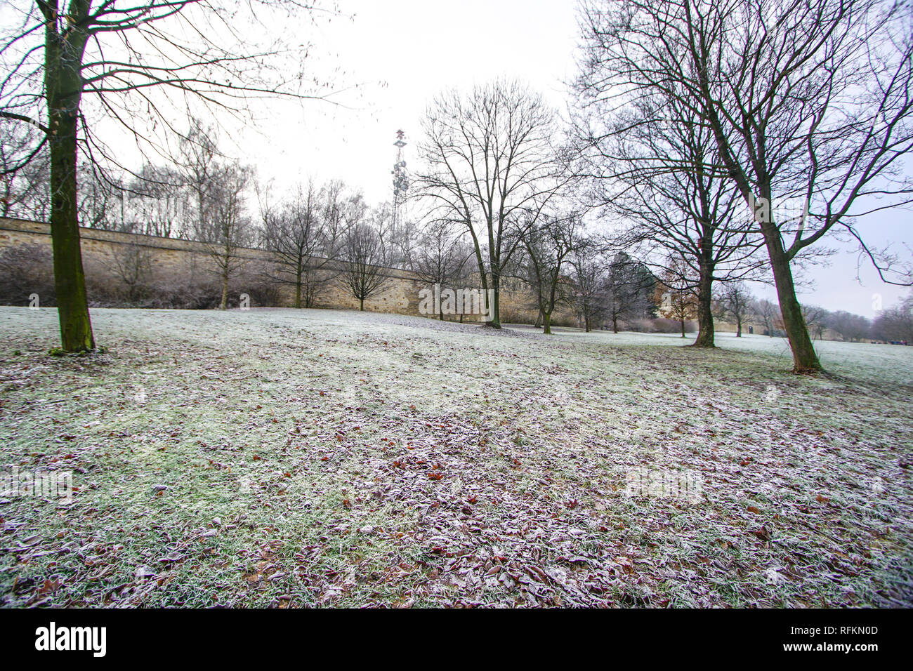Park cover with light snow during winter Stock Photo - Alamy