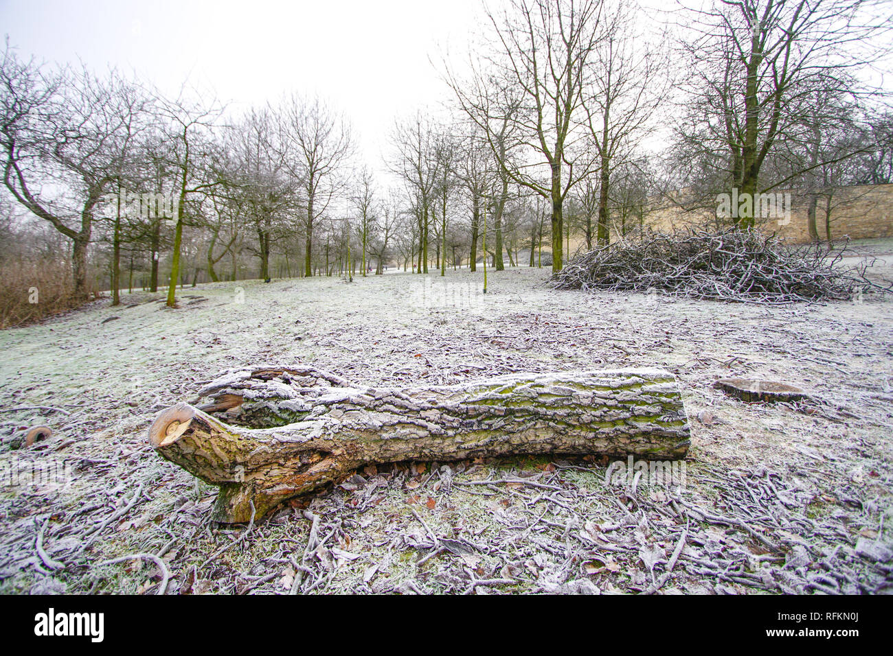 Park cover with light snow during winter Stock Photo - Alamy