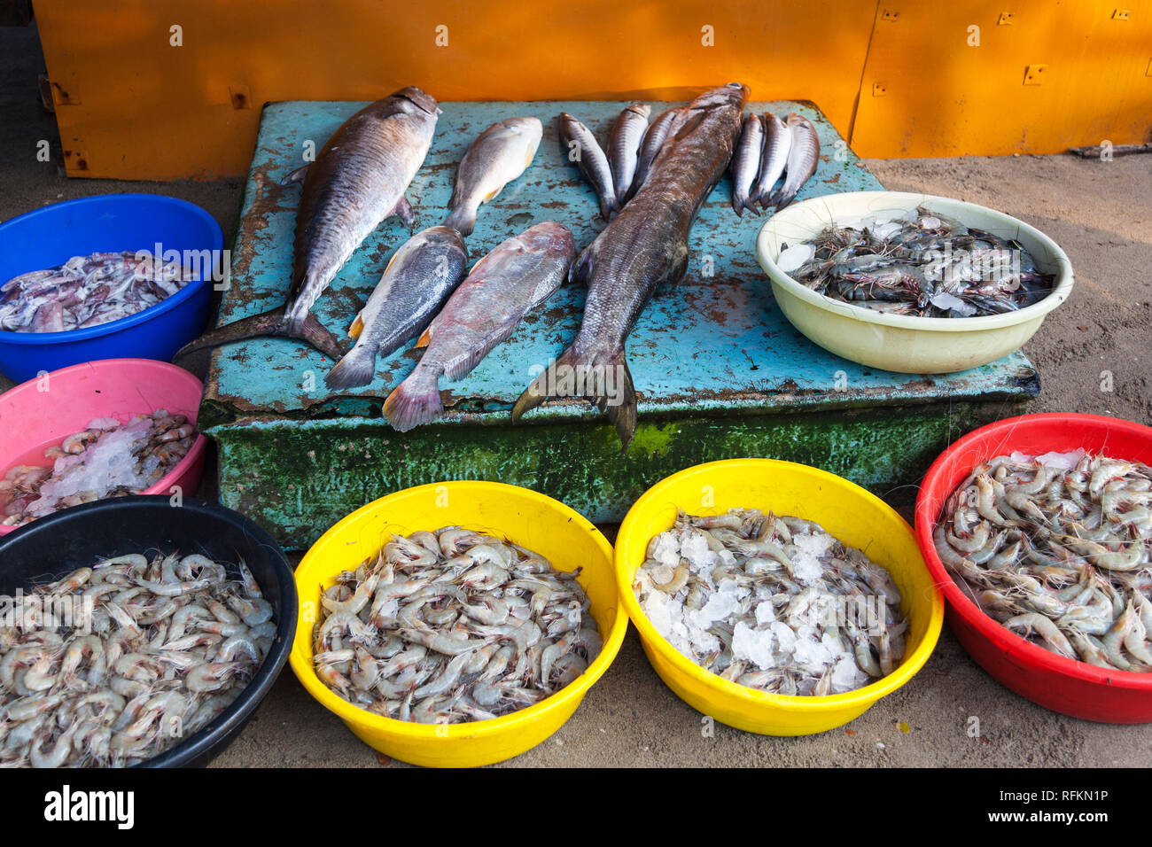 Fort cochin fish market india hi-res stock photography and images - Alamy