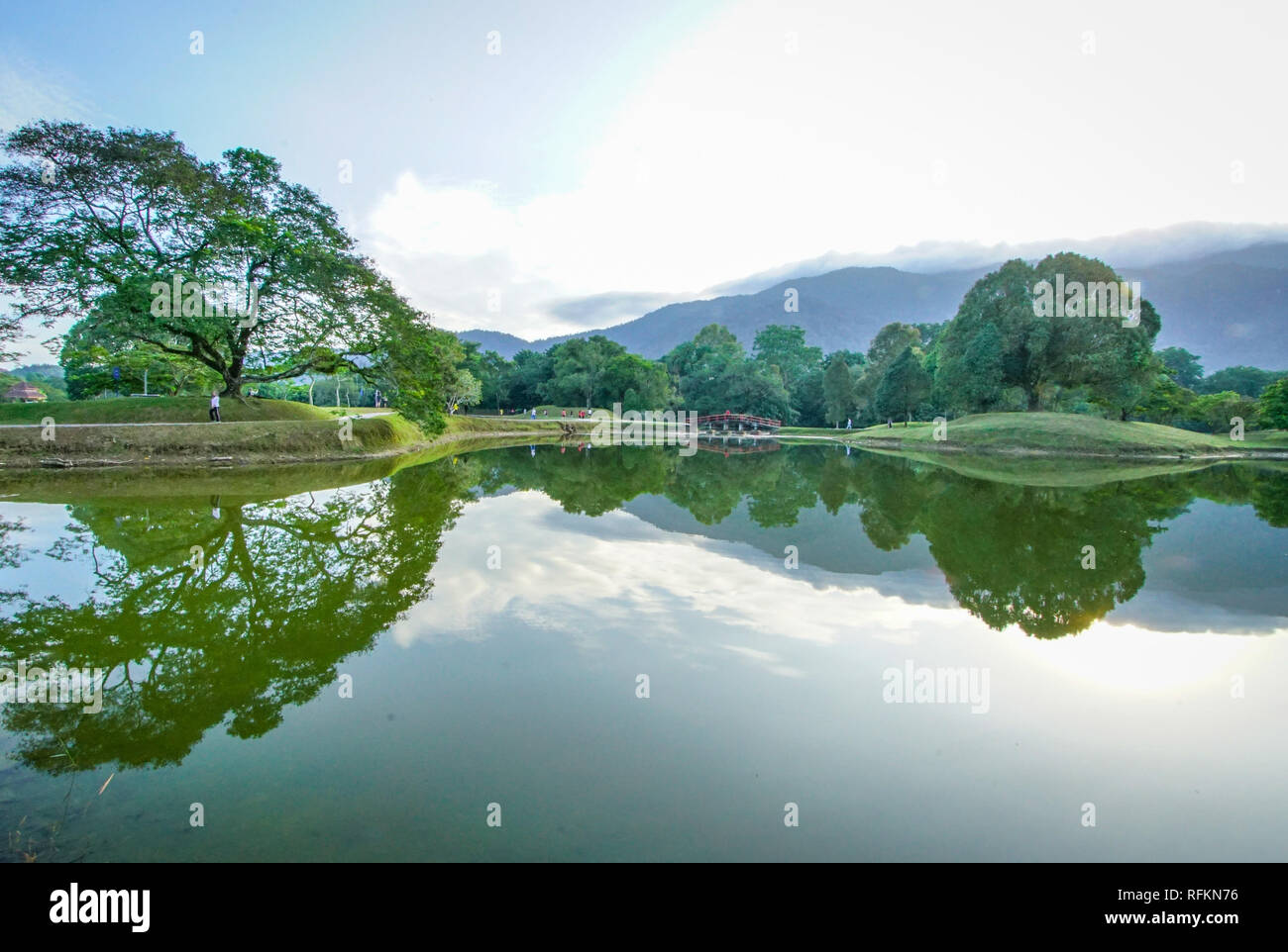 Beautiful Taiping Lake Gardens, Malaysia Stock Photo - Alamy