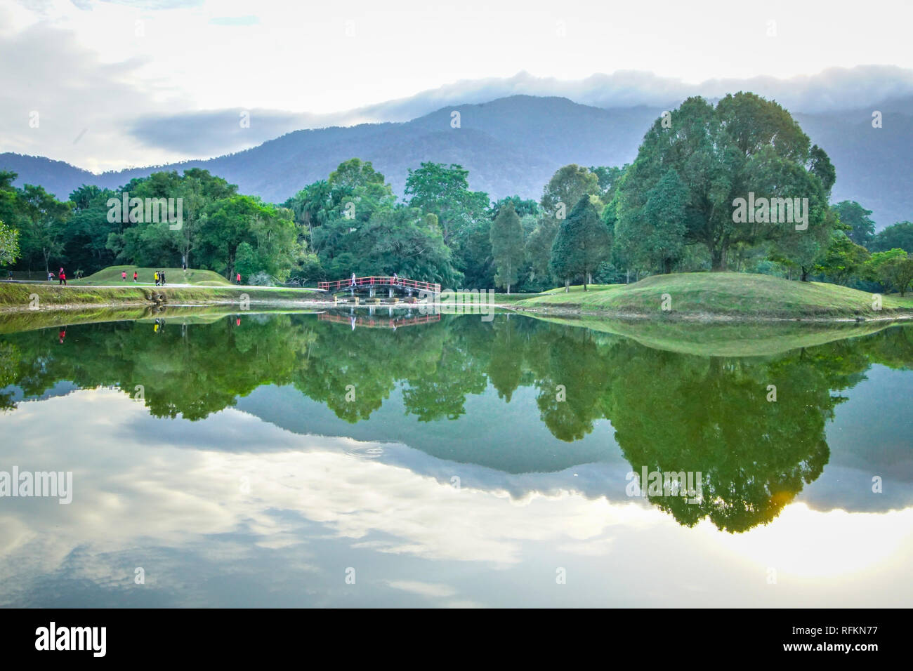 Beautiful Taiping Lake Gardens, Malaysia Stock Photo - Alamy