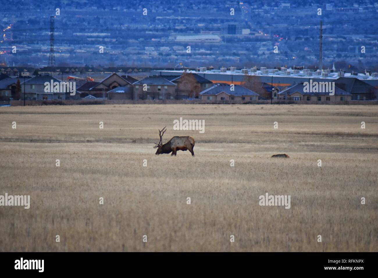 Westside highway hi-res stock photography and images - Alamy