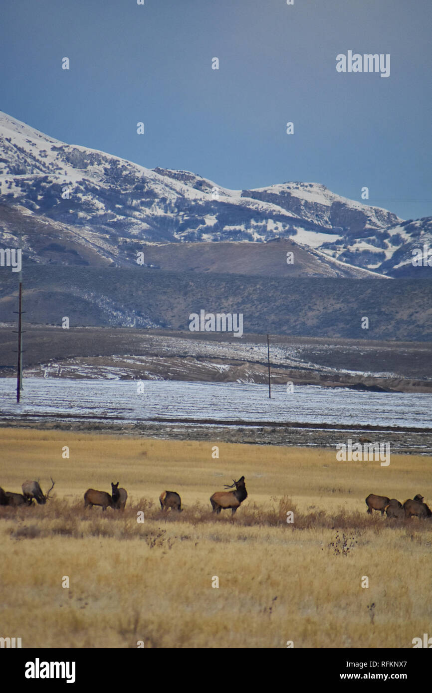 Westside preserve hi-res stock photography and images - Alamy