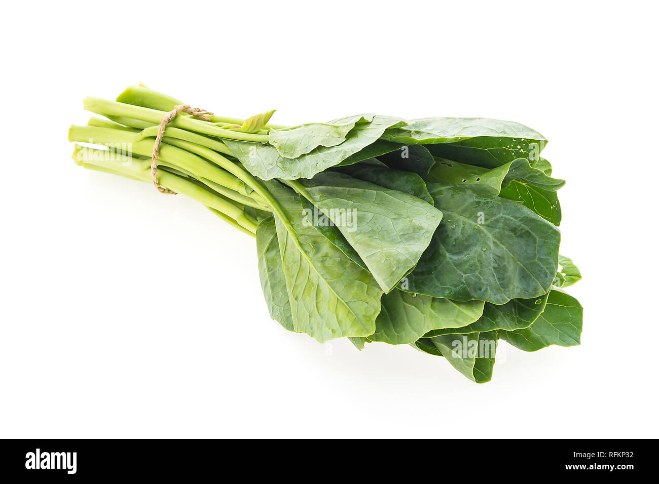 Chinese broccoli garden hi-res stock photography and images - Alamy