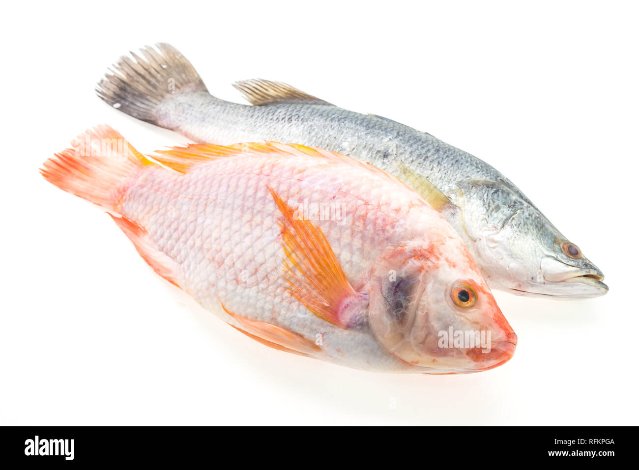 Raw fresh fish isolated on white background Stock Photo - Alamy