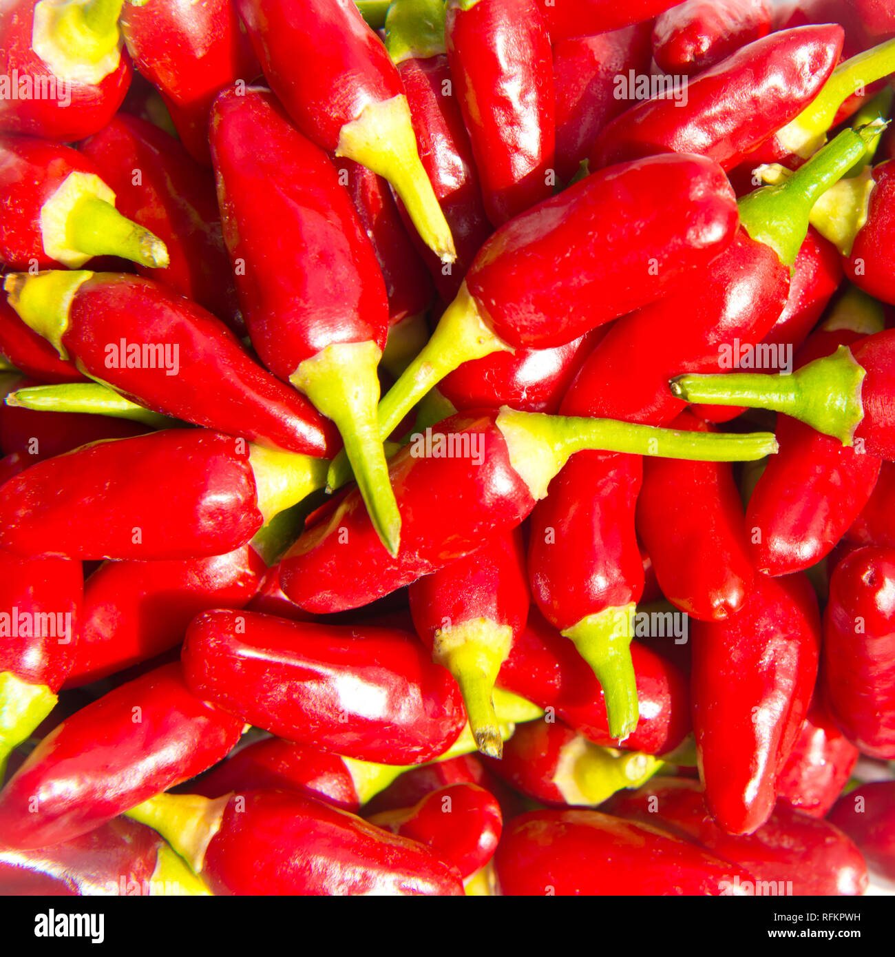 Full image of red chilli Stock Photo - Alamy