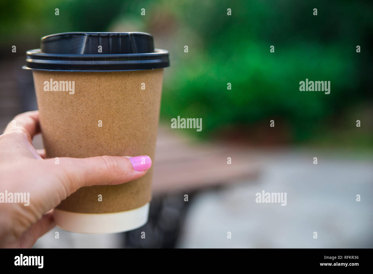 hand holding paper cup of coffee on natural morning background Stock ...