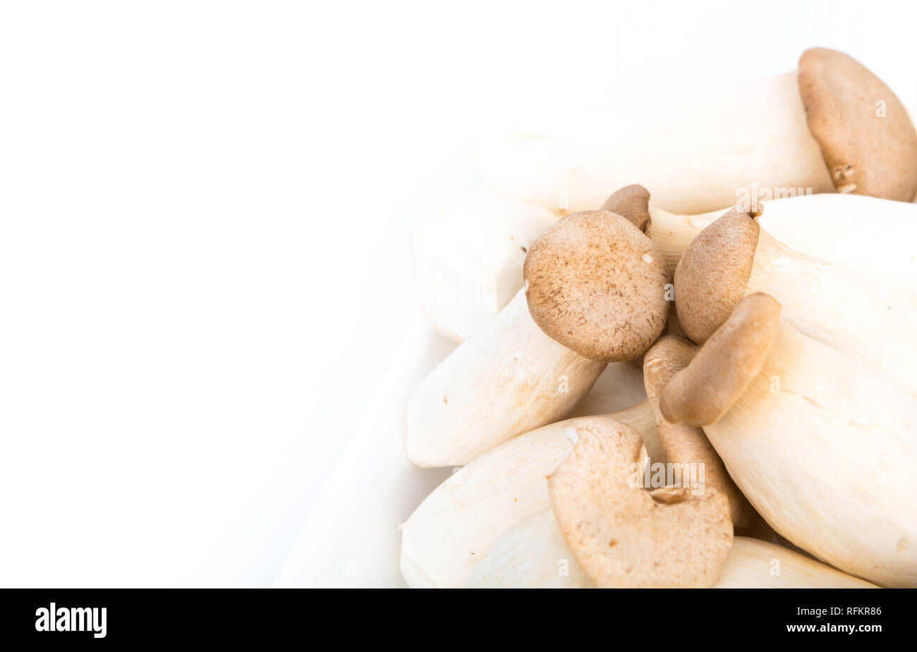 Eringi hi-res stock photography and images - Alamy