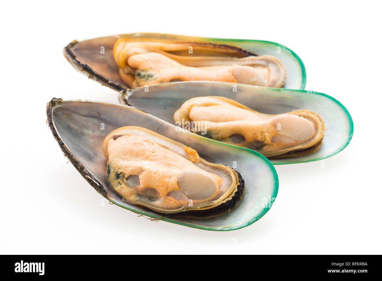 mussel isolated on white background Stock Photo - Alamy