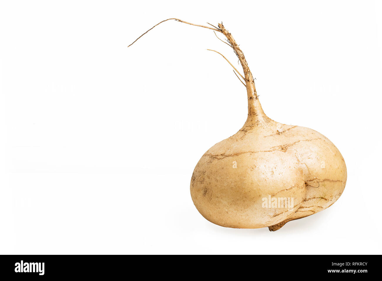 Pachyrhizus erosus hi-res stock photography and images - Alamy