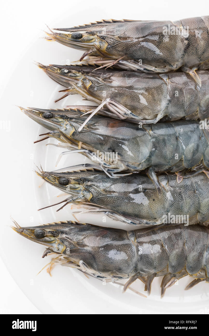 Raw fresh prawn and shrimp isolated on white background Stock Photo - Alamy