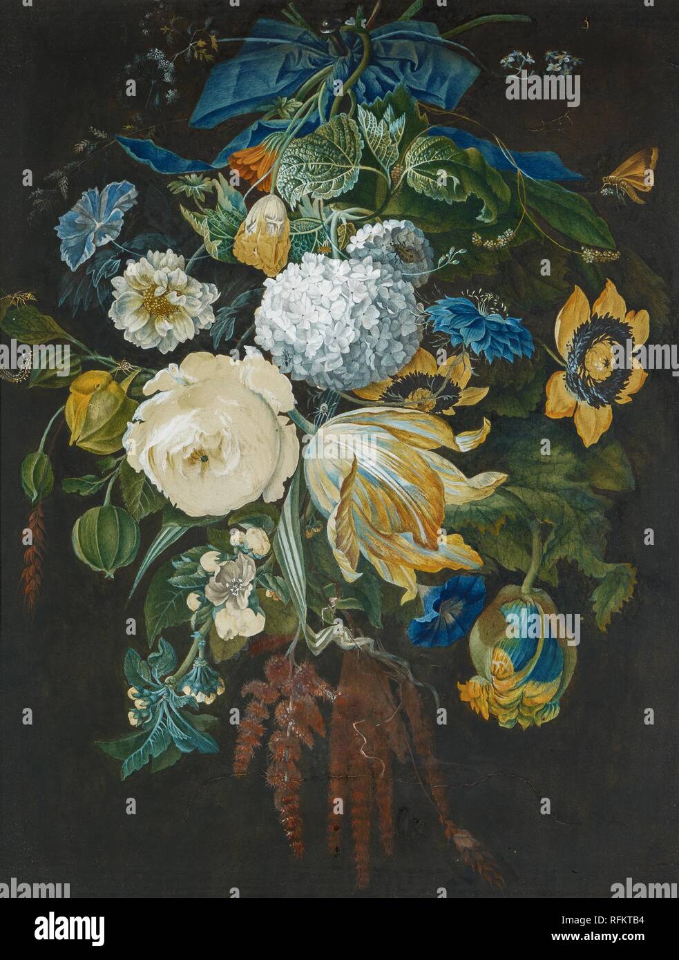 Dutch master roses hi-res stock photography and images - Alamy