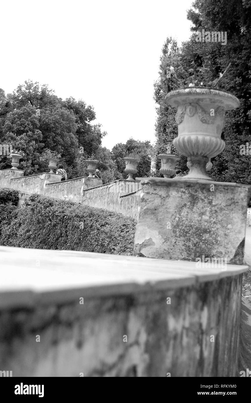 Line trees in summer Black and White Stock Photos & Images - Alamy