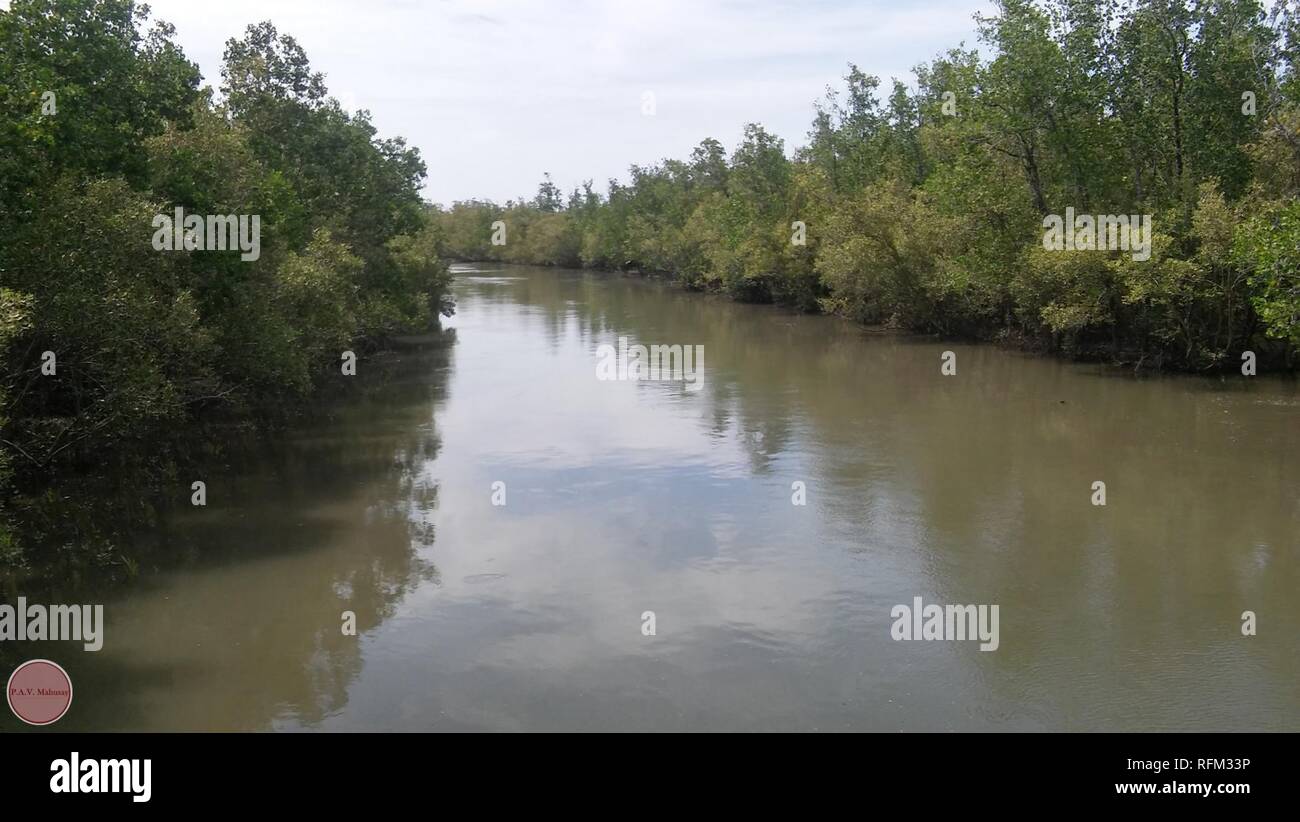 Bakhawan Eco Park, Kalibo, Aklan (2 Stock Photo - Alamy