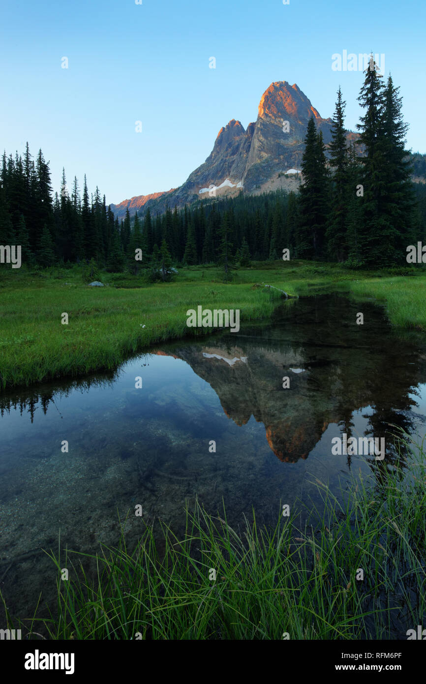 Liberty Bell Mountain reflected in pond in grassy meadow, Washington ...