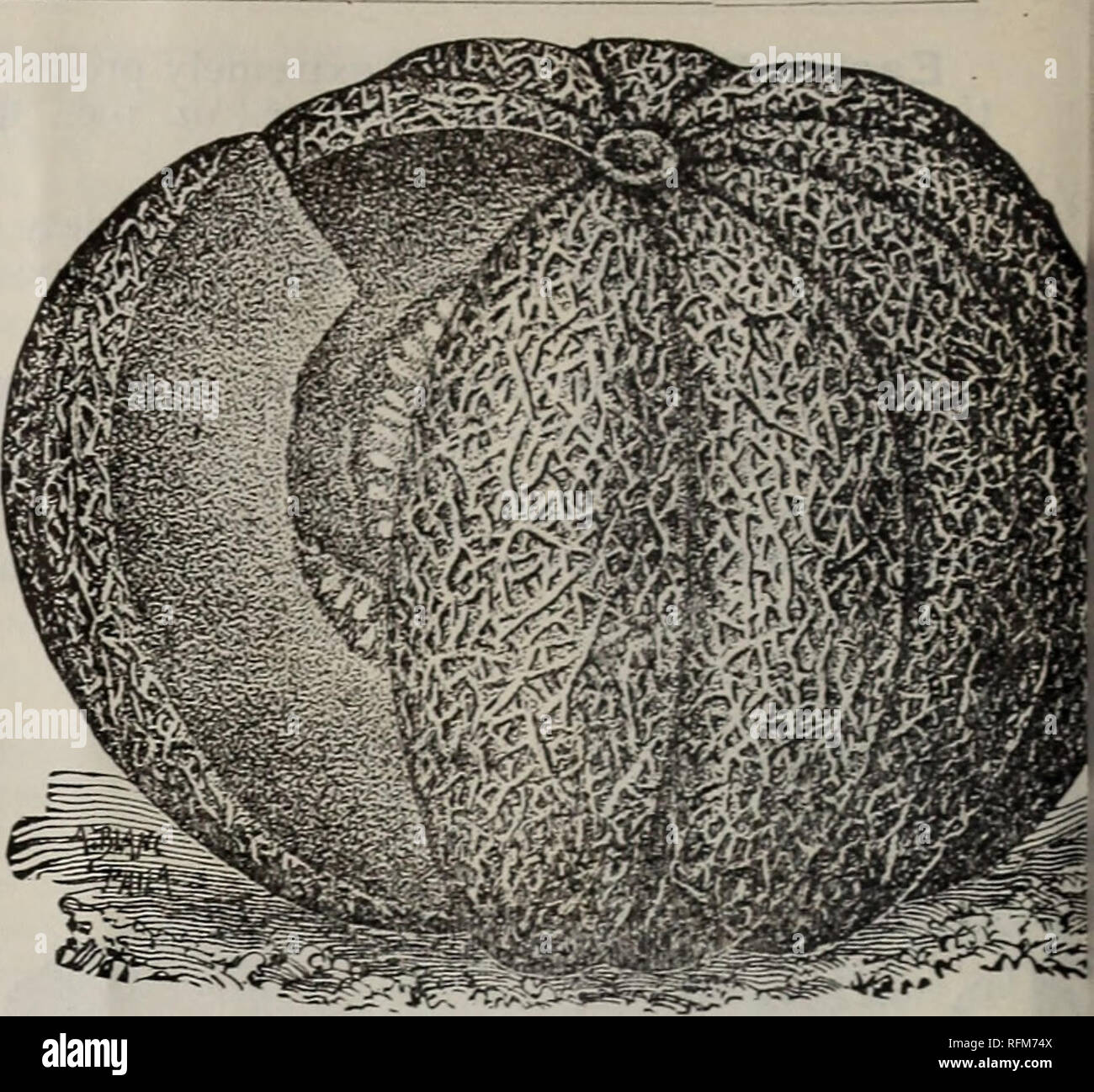 Crystalline iceberg hi-res stock photography and images - Alamy